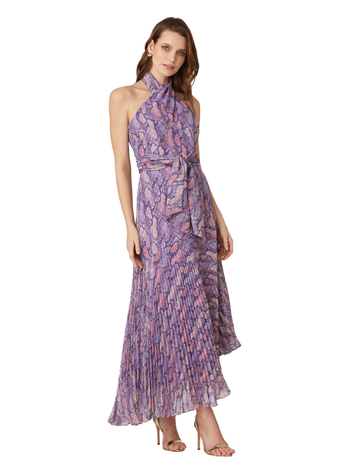 Roya Dress – The RiverLane